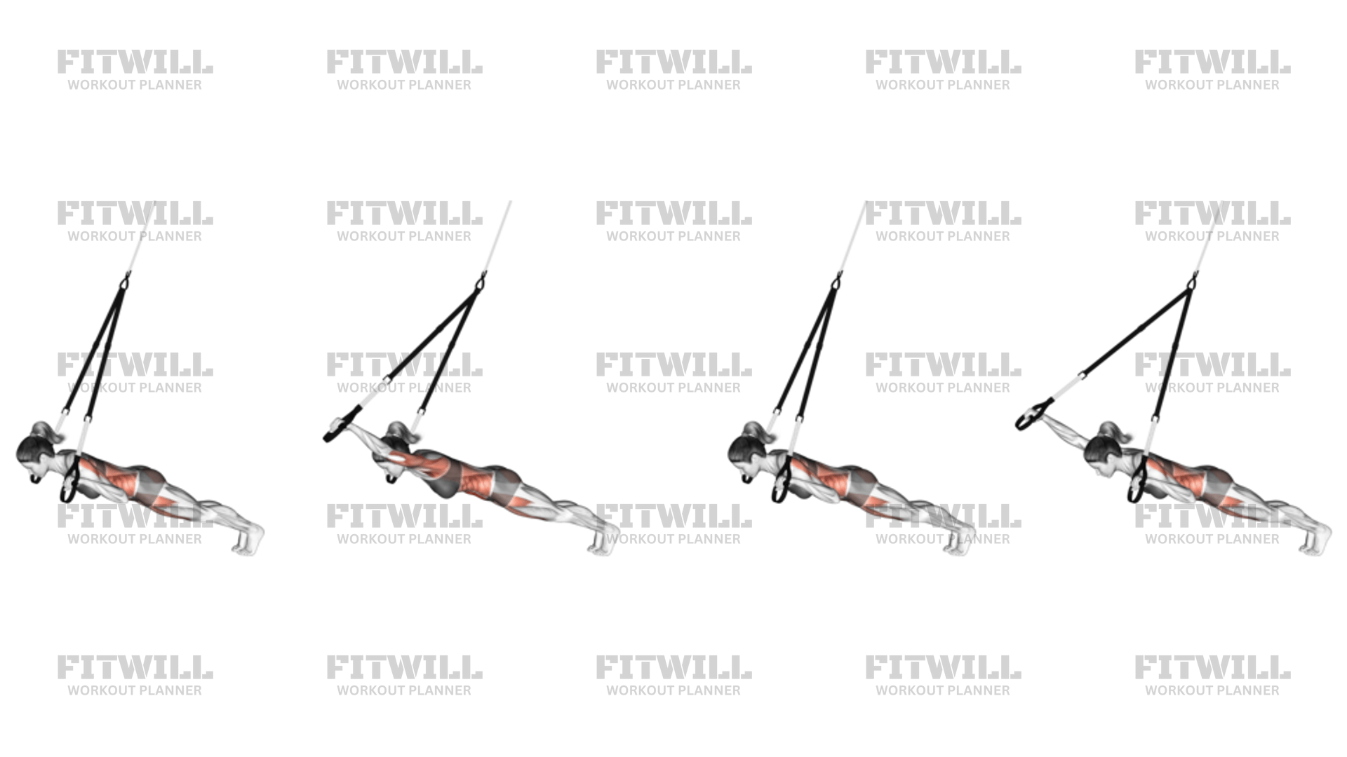 Suspender Alternate Superman: Exercise Guide, Video, Techniques ...