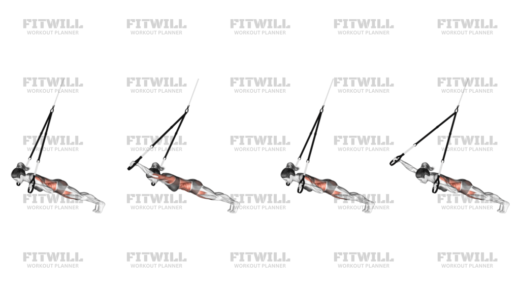 Suspender Alternate Superman: Exercise Guide, Video, Techniques ...