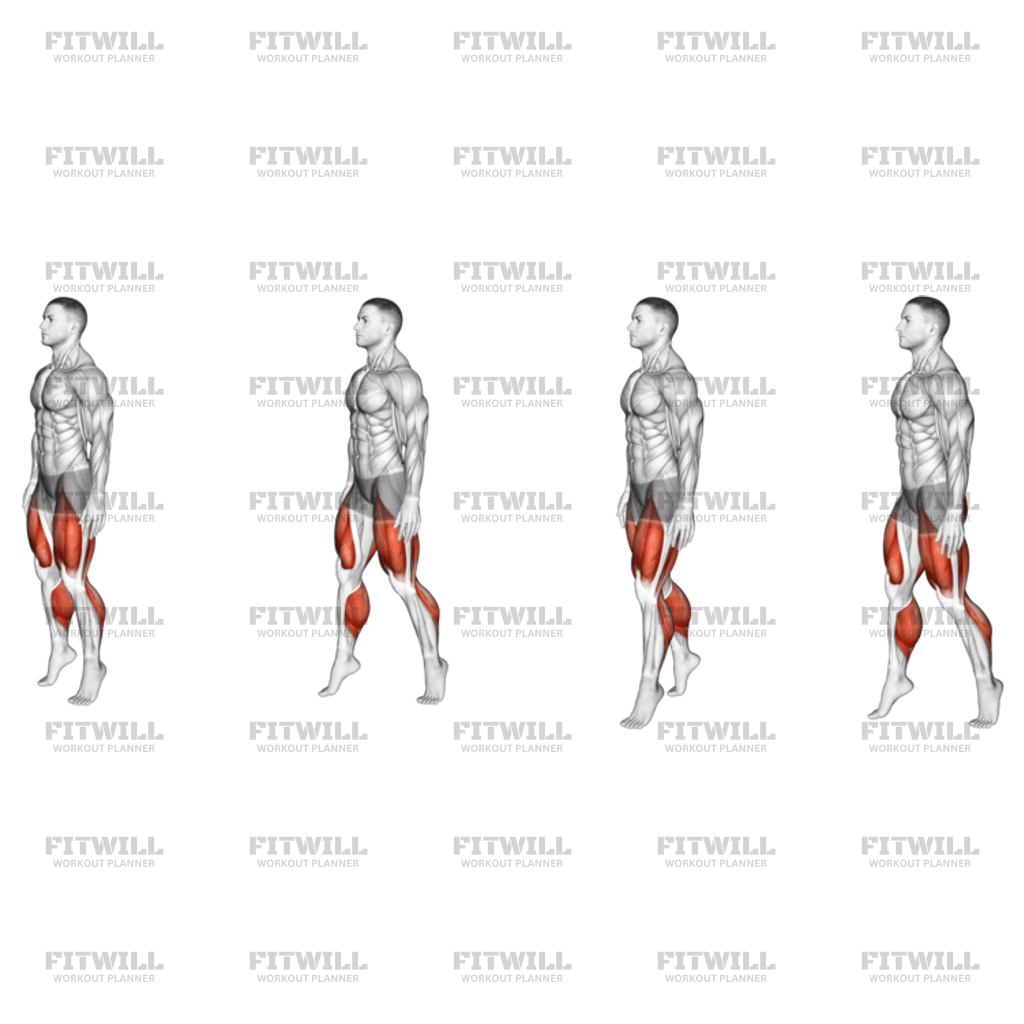 Toe Walk: Exercise Guide, Video, Techniques, Benefits, How to, Muscles ...