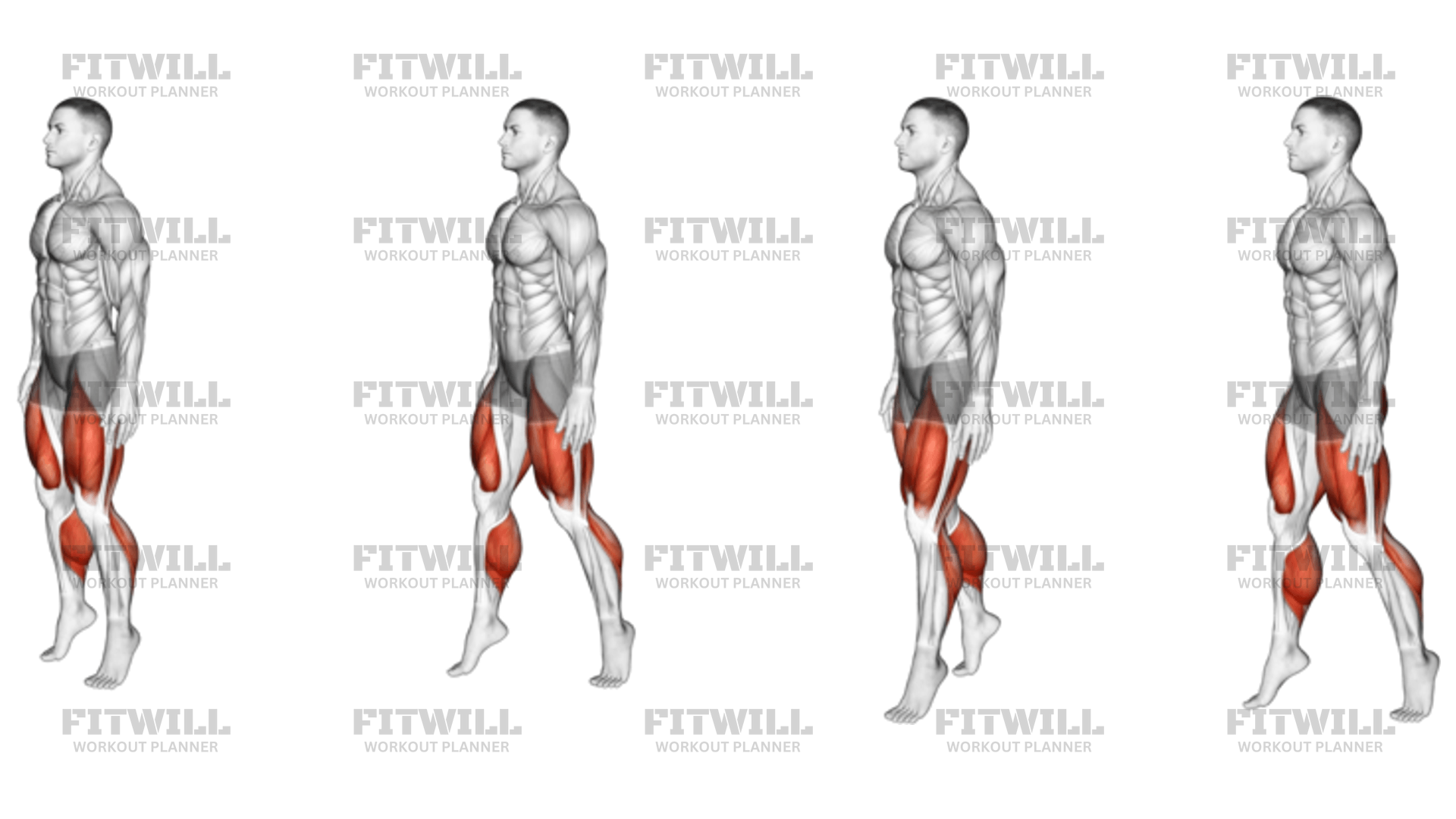 Toe Walk: Exercise Guide, Video, Techniques, Benefits, How to, Muscles ...