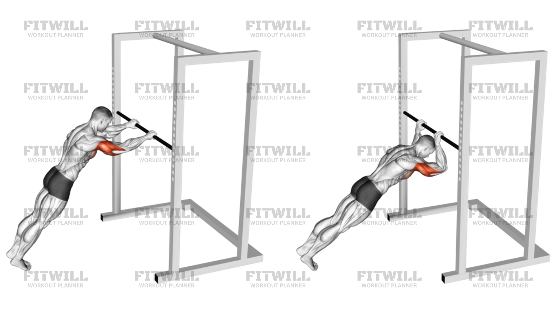 Triceps Press (high Bar Position): Exercise Guide, Techniques, Benefits ...