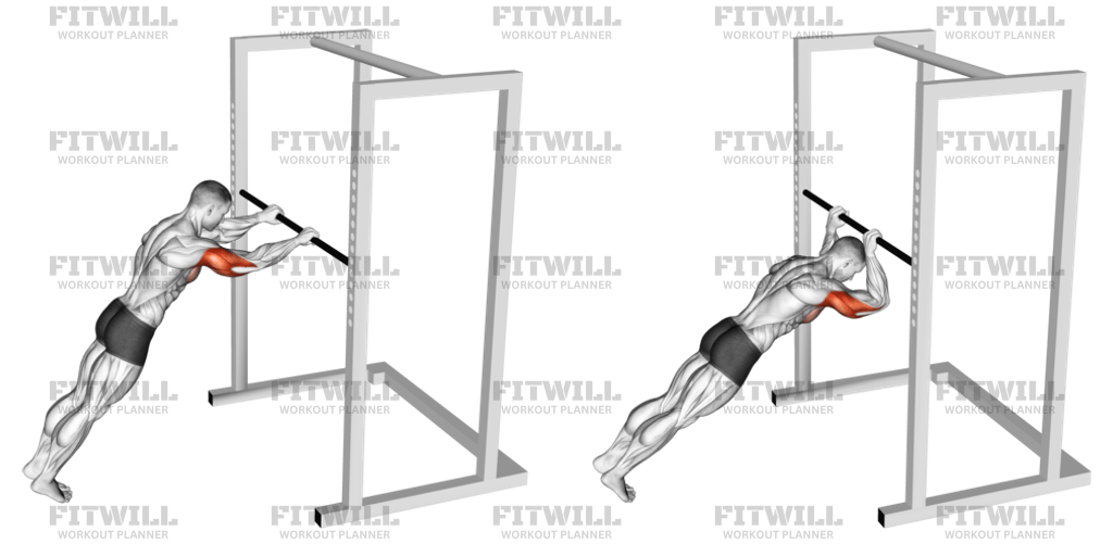 Triceps Press (high Bar Position): Exercise Guide, Techniques, Benefits ...