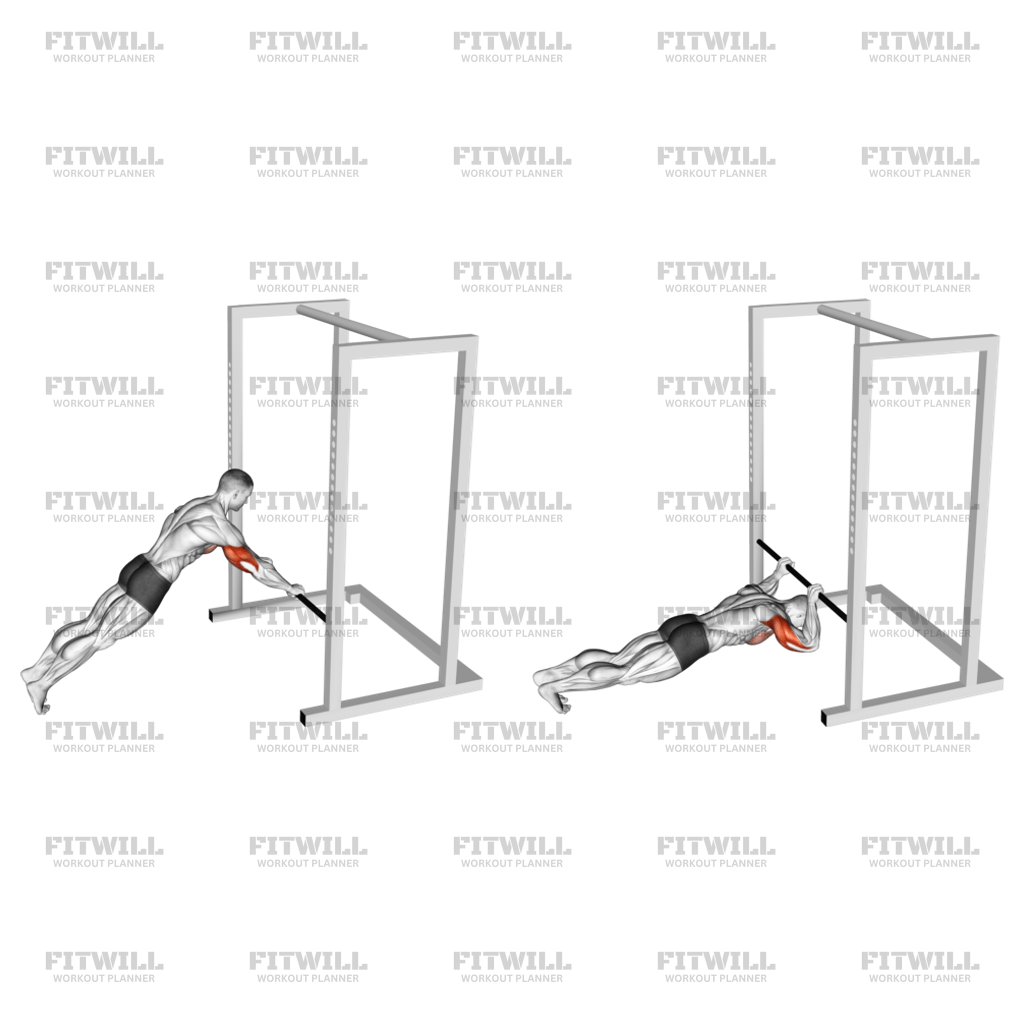 Triceps Press (low Bar Position): Exercise Guide, Video, Techniques ...