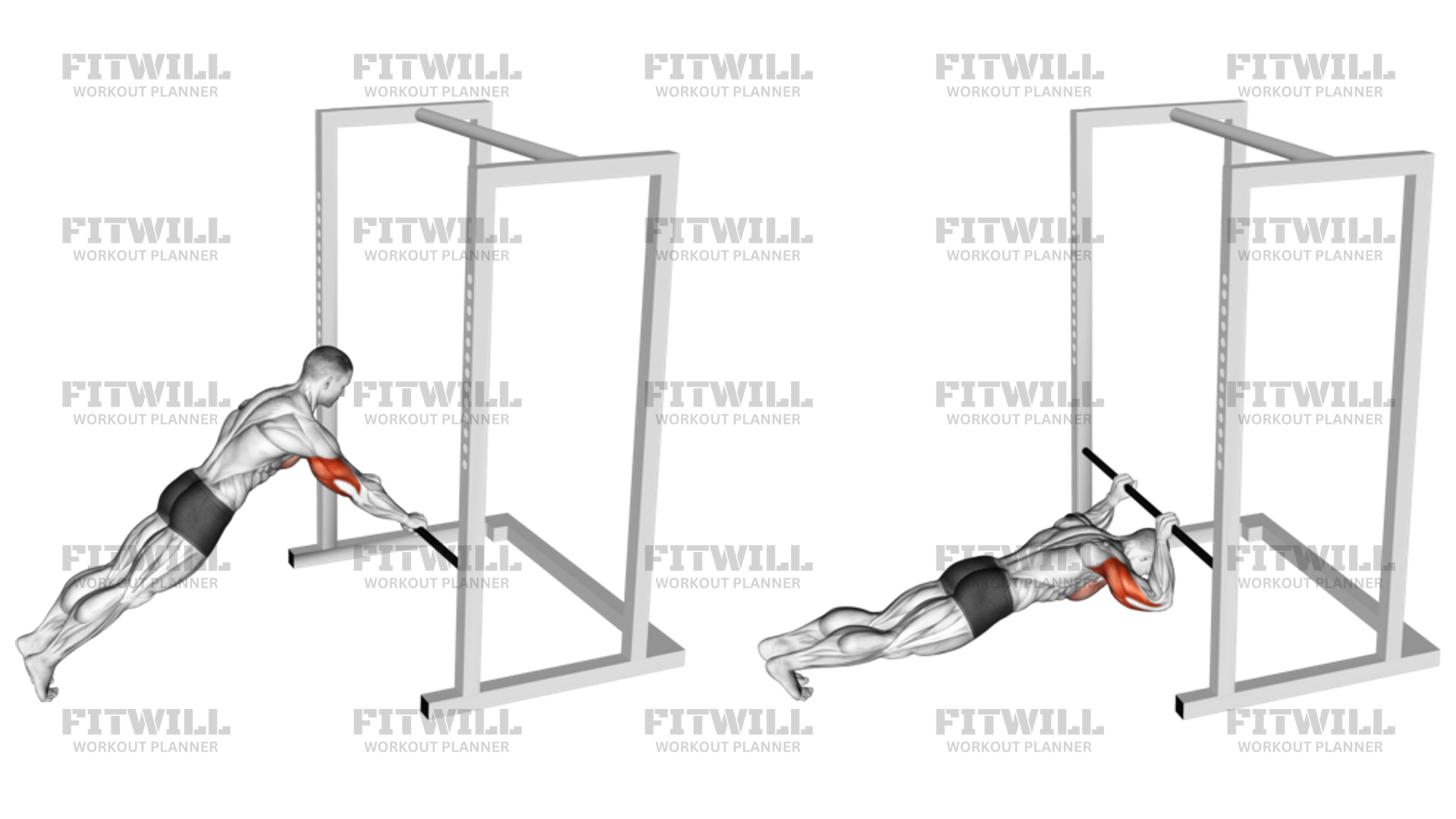 Triceps Press Low Bar Position: Exercise Guide, Video, Techniques ...