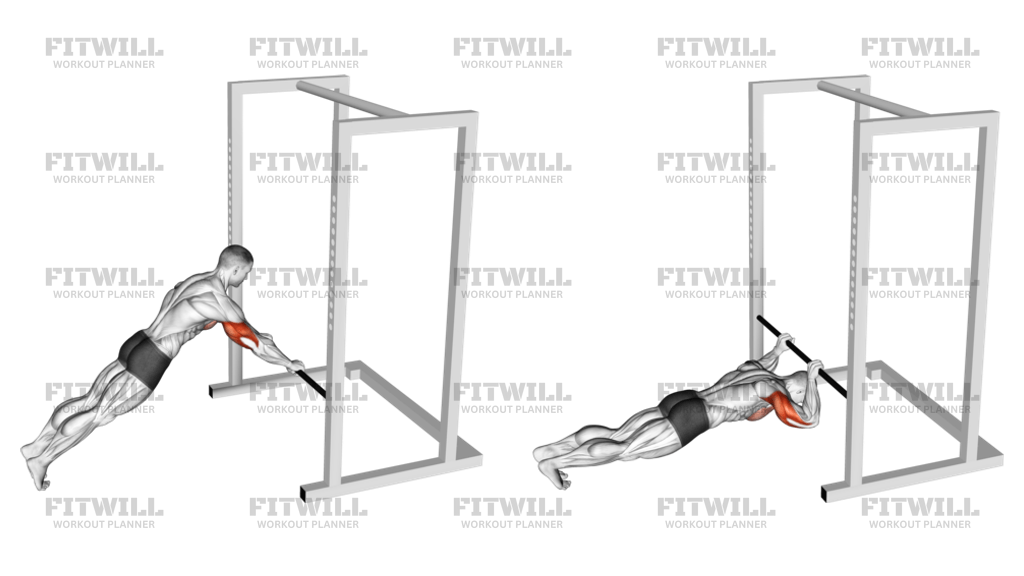 Flexão De Tríceps (posição Barra Baixa): Guia de Exercícios, Vídeo ...