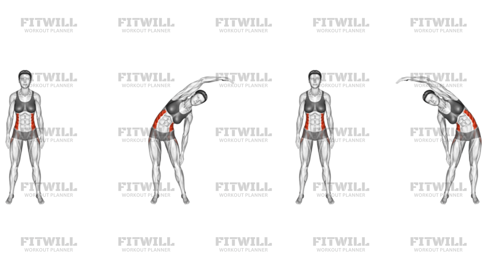Flexión Lateral De Pie (VERSIÓN 2): Guía de Ejercicios, Video, Técnicas ...