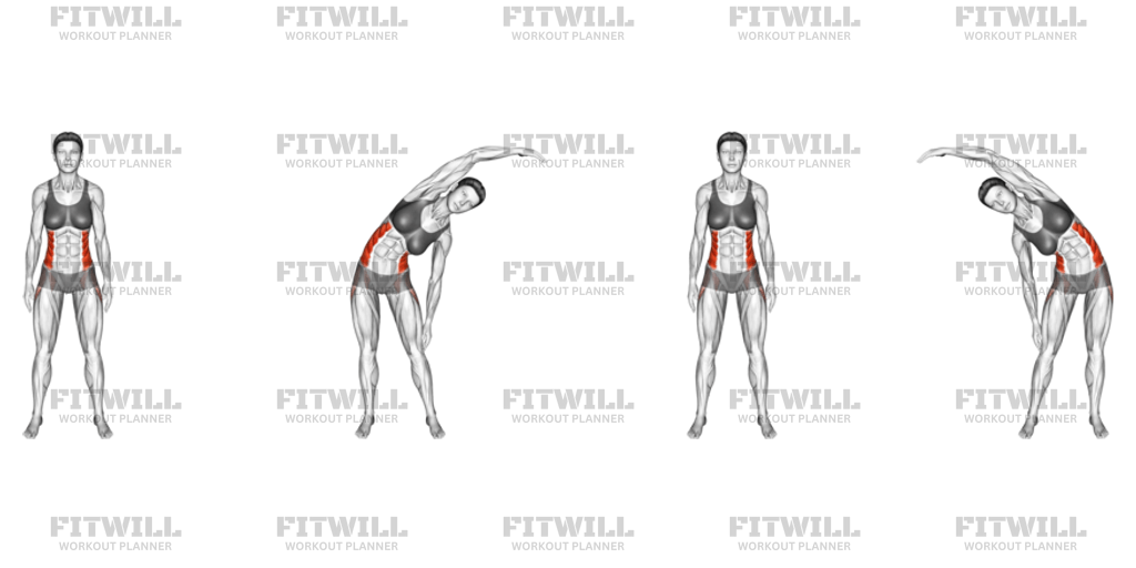 Flexão Lateral Em Pé (VERSÃO 2): Guia de Exercícios, Vídeo, Técnicas ...