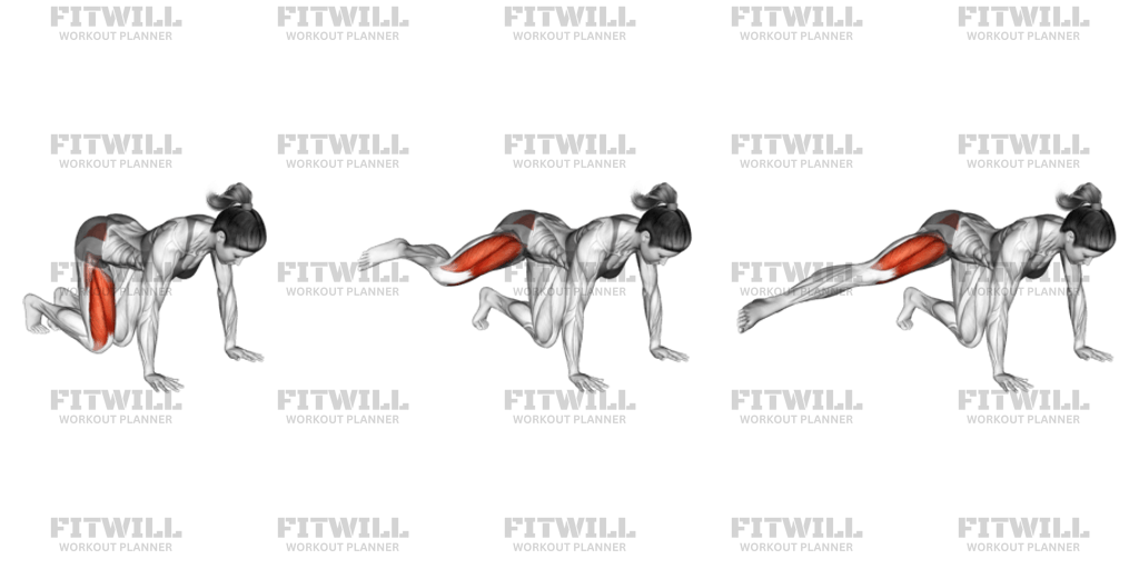 Chute Lateral Com Perna Em Joelho: Guia de Exercícios, Vídeo, Técnicas ...