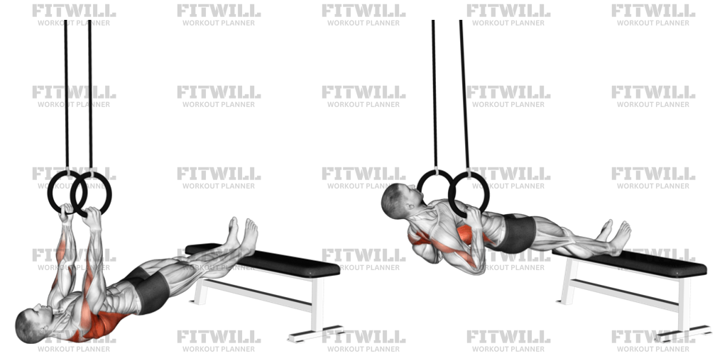 Ring Elevated Row: Exercise Guide, Techniques, Benefits, How to ...