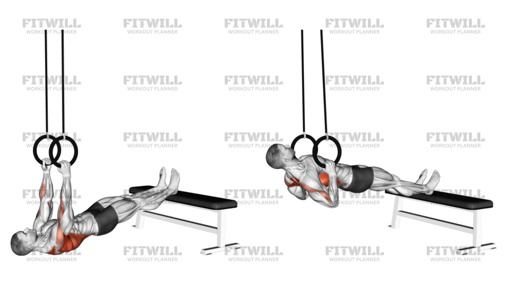 Ring Elevated Row: Exercise Guide, Techniques, Benefits, How to ...