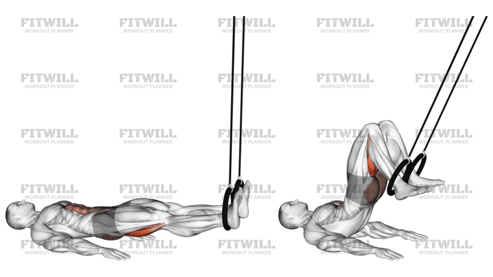 Ring Leg Curl: Exercise Guide, Video, Techniques, Benefits, How to ...
