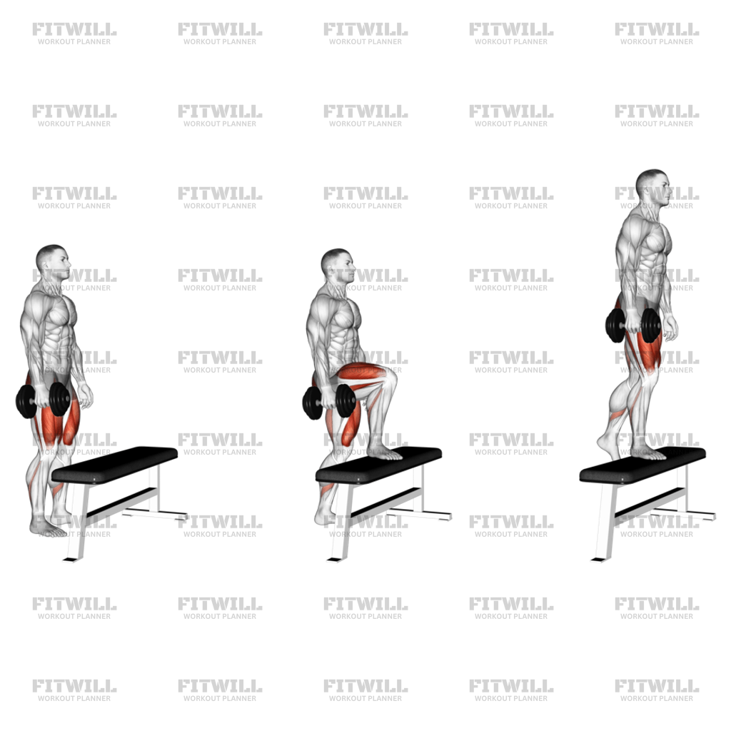 Dumbbell Single Leg Step-up On Bench: Exercise Guide, Techniques ...