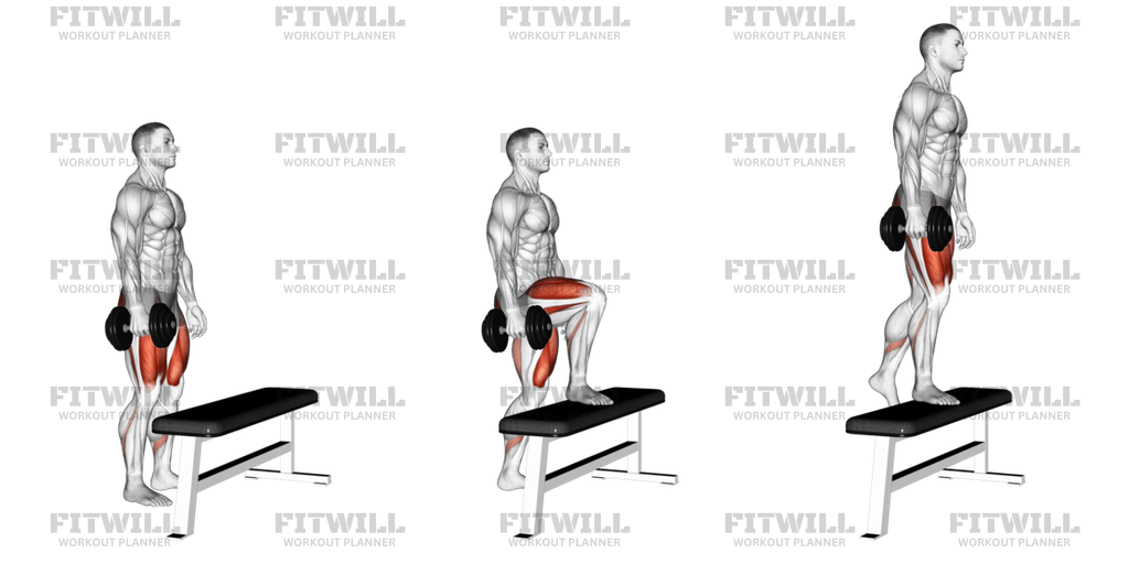 Dumbbell Single Leg Step-up On Bench: Exercise Guide, Techniques ...