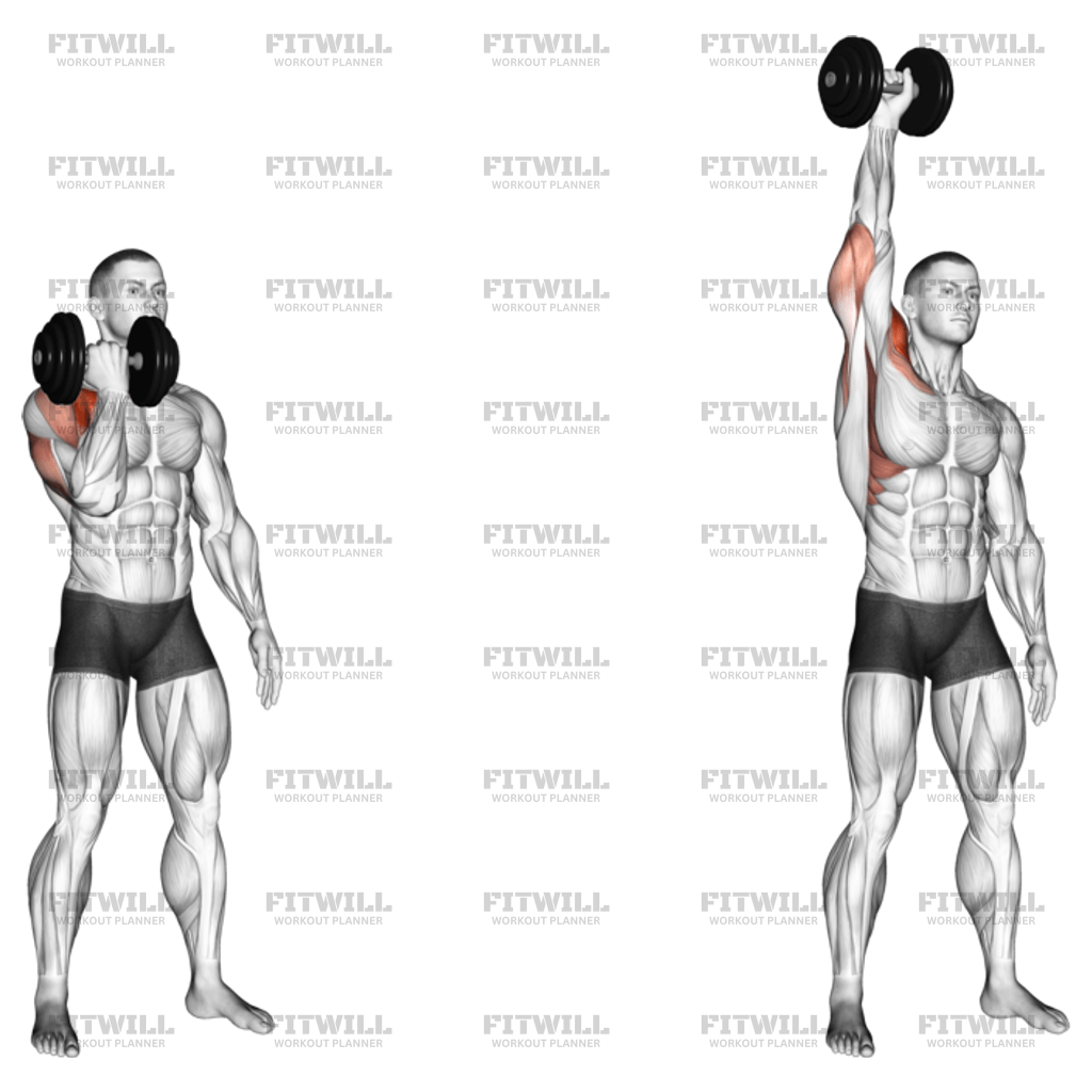 Dumbbell Standing Single Arm Arnold Press: Exercise Guide, Techniques ...
