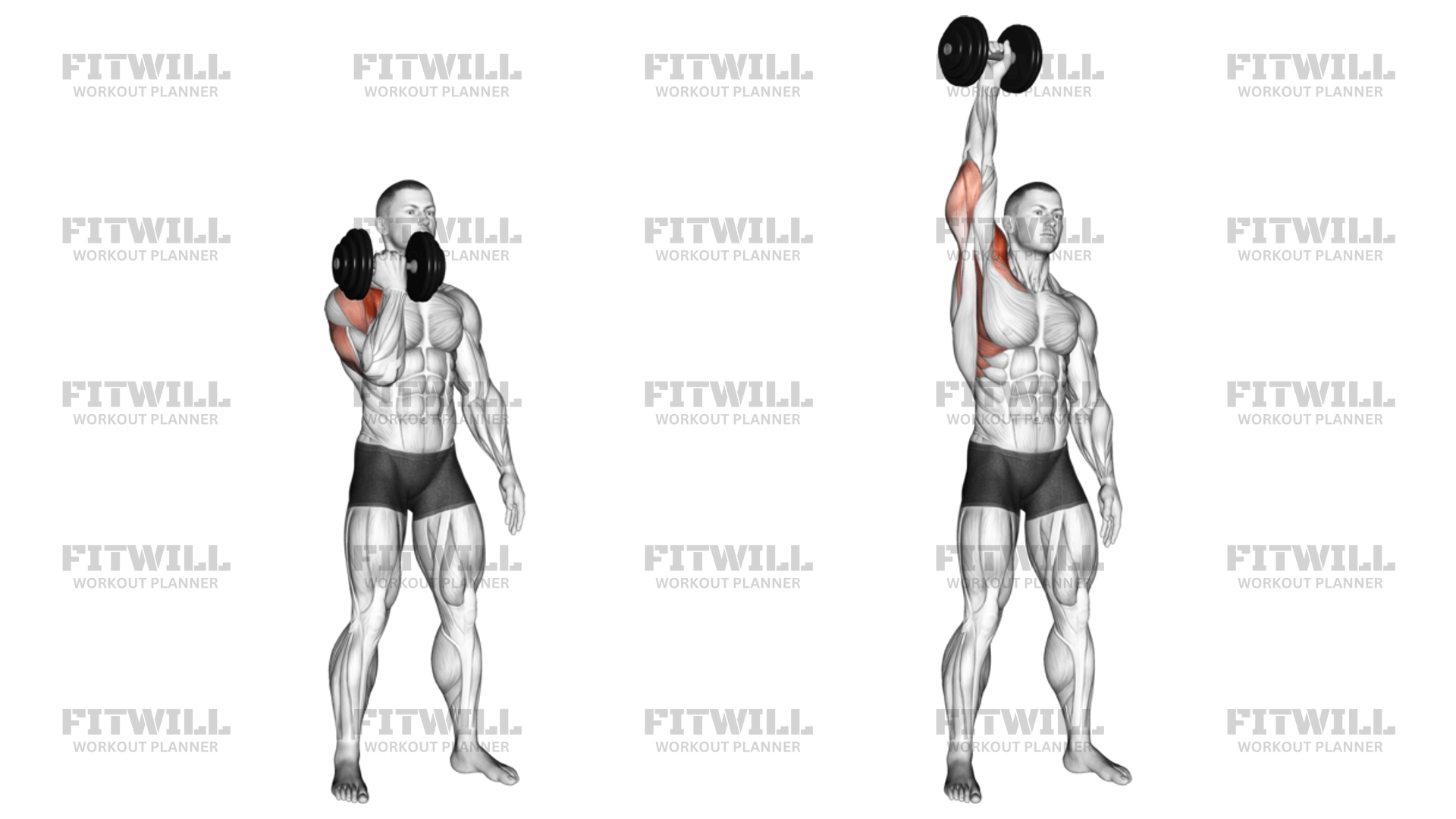 Dumbbell Standing Single Arm Arnold Press: Exercise Guide, Techniques ...