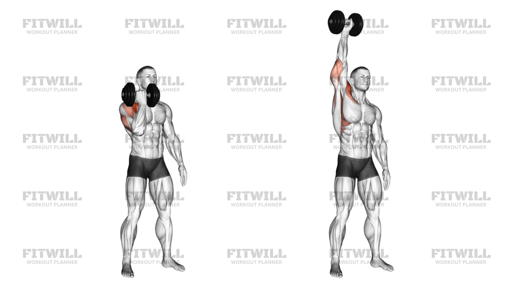 Dumbbell Standing Single Arm Arnold Press: Exercise Guide, Techniques, Benefits, How to, Muscles ...