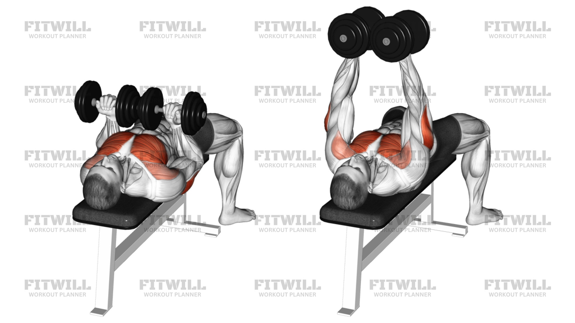 Dumbbell Reverse Grip Squeeze Bench Press: Exercise Guide, Techniques ... Dumbbell Reverse Grip Squeeze Bench Press: Exercise Guide, Techniques ...