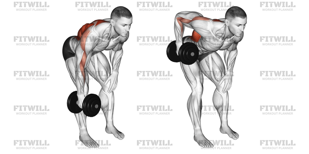 Dumbbell Single Arm Bent Over Row: Exercise Video | Fitwill