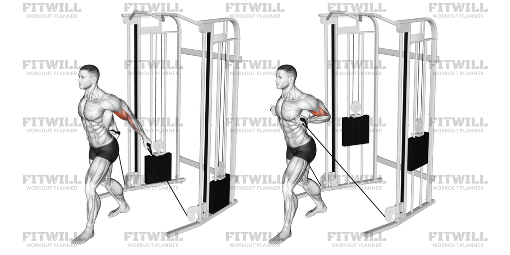 Cable Unilateral Bicep Curl Exercise Guide Video Techniques Benefits How To Muscles Worked