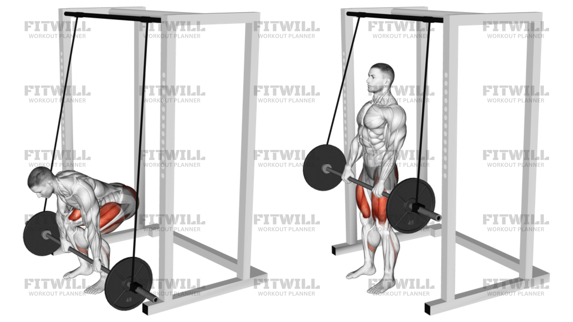Barbell Band Assisted Deadlift: Exercise Guide, Techniques, Benefits ...