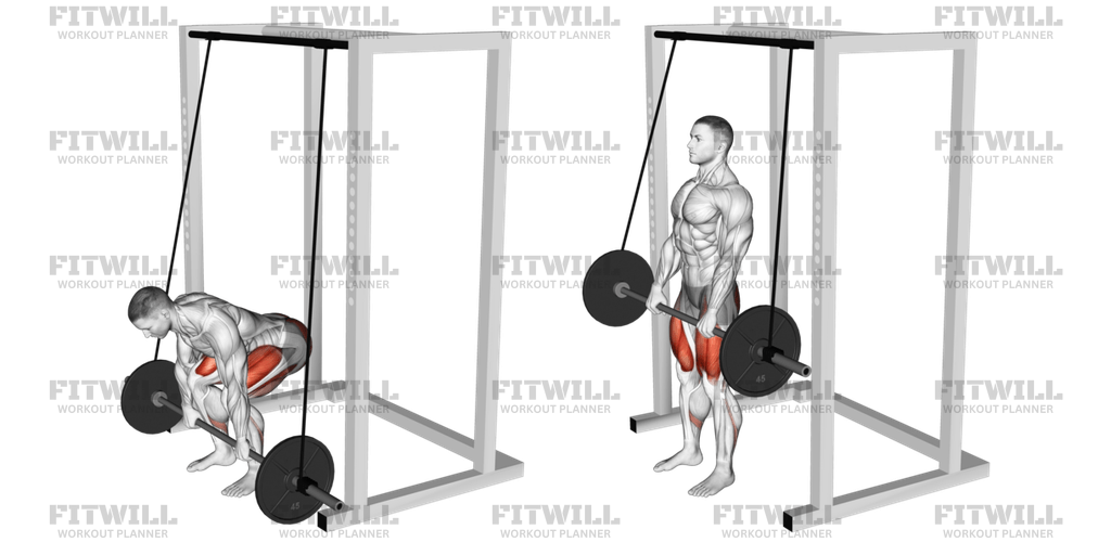 Barbell Band Assisted Deadlift: Exercise Guide, Techniques, Benefits ...