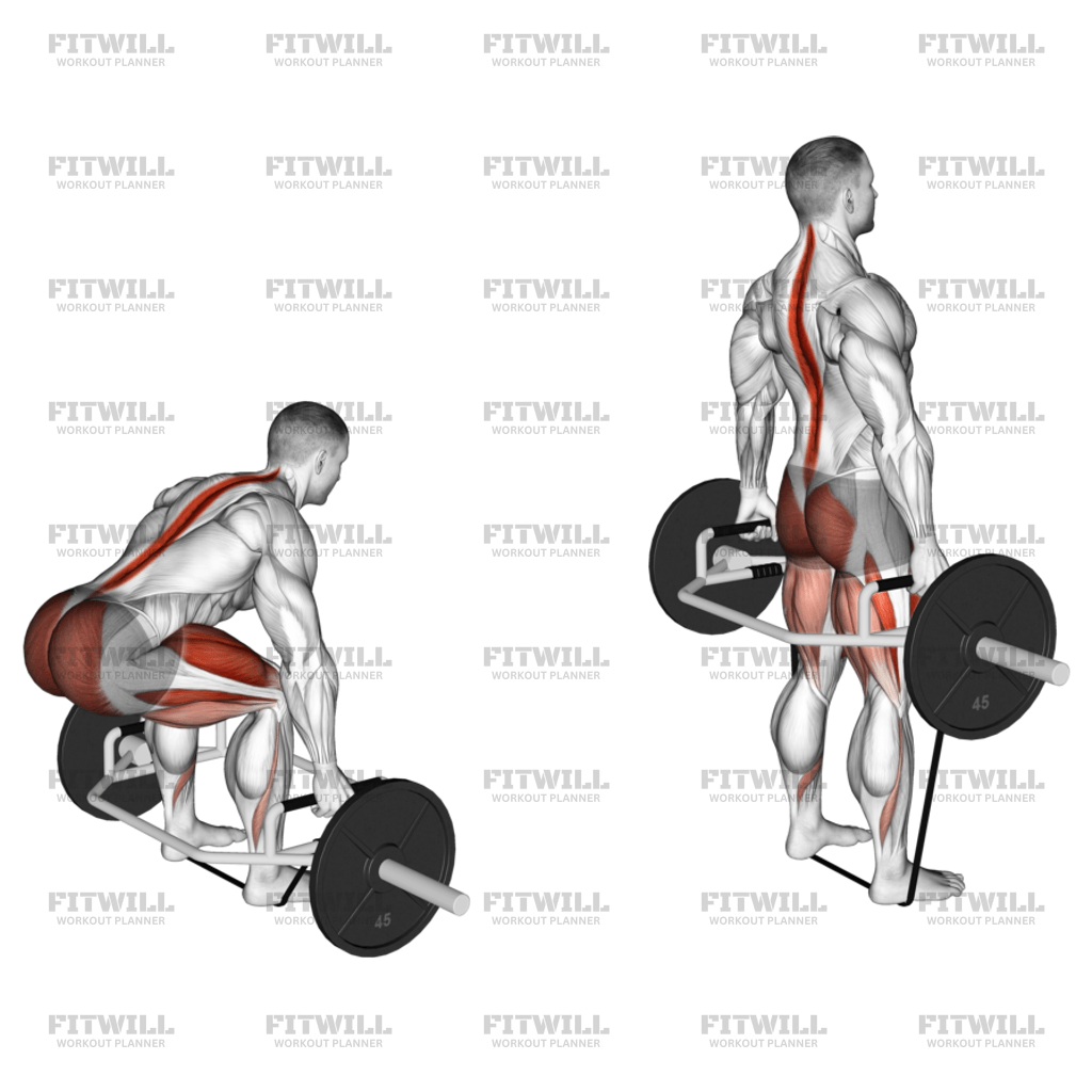 Trap Bar Banded Deadlift: Exercise Guide, Techniques, Benefits, How to ...