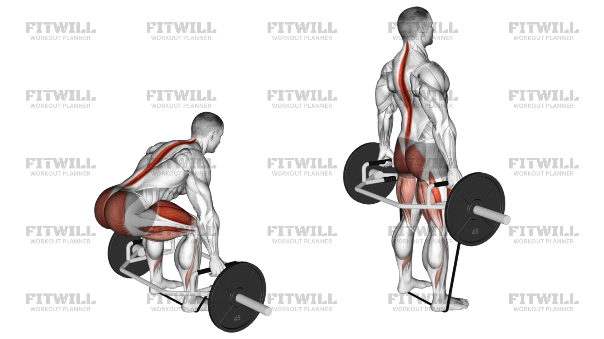 Trap Bar Banded Deadlift: Exercise Guide, Techniques, Benefits, How to ...
