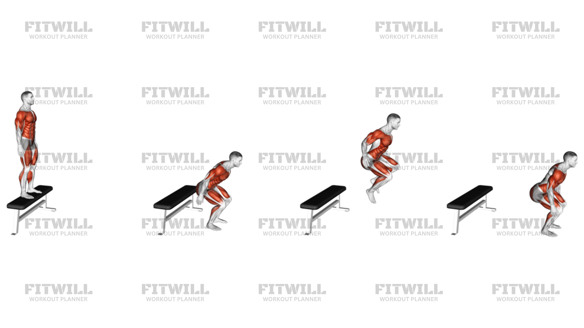 Depth Jump: Exercise Guide, Techniques, Benefits, How to, Muscles ...