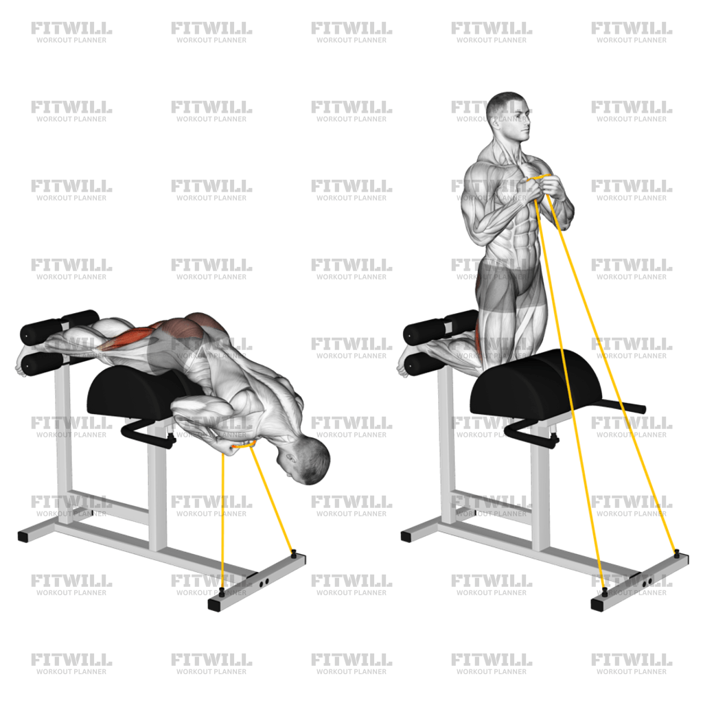 Banded Glute Ham Raise (VERSION 2): Guide, Techniques, Benefits, How to ...