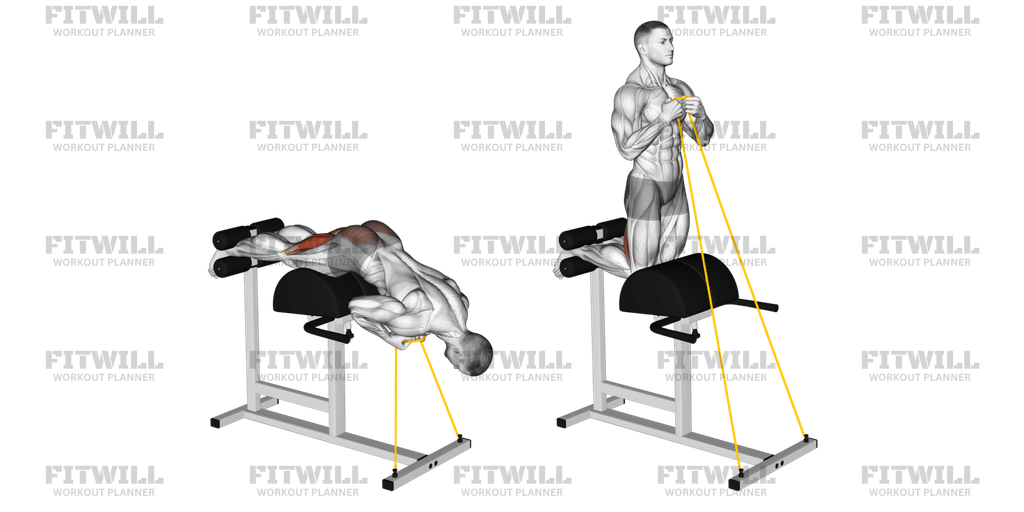 Banded Glute Ham Raise (VERSION 2): Exercise Guide, Video, Techniques ...