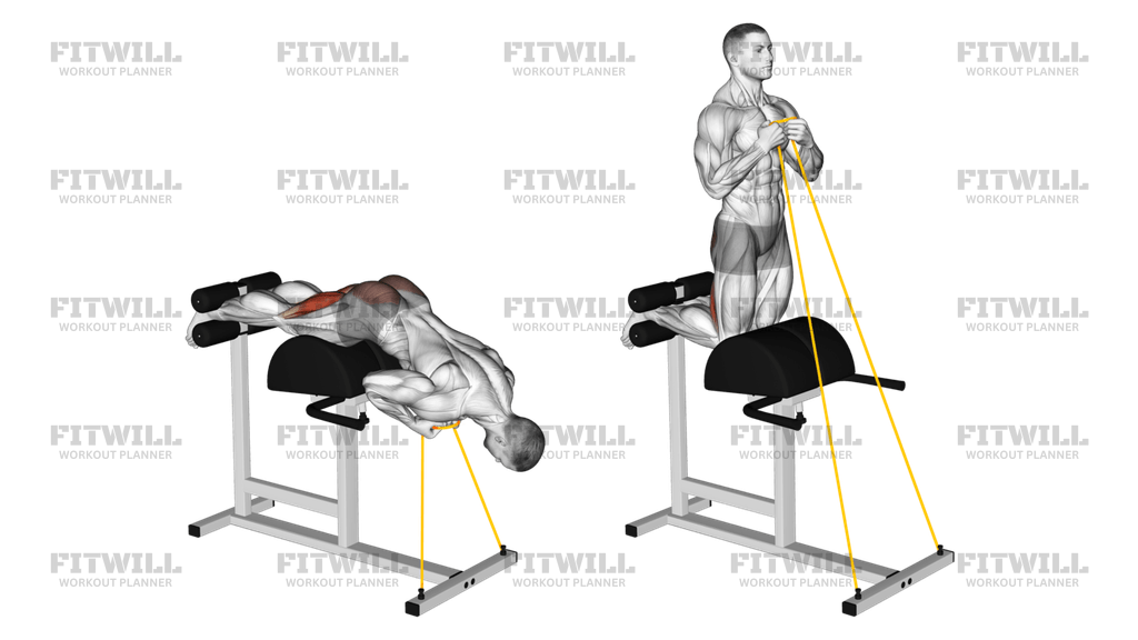 Banded Glute Ham Raise (VERSION 2): Exercise Guide, Video, Techniques ...