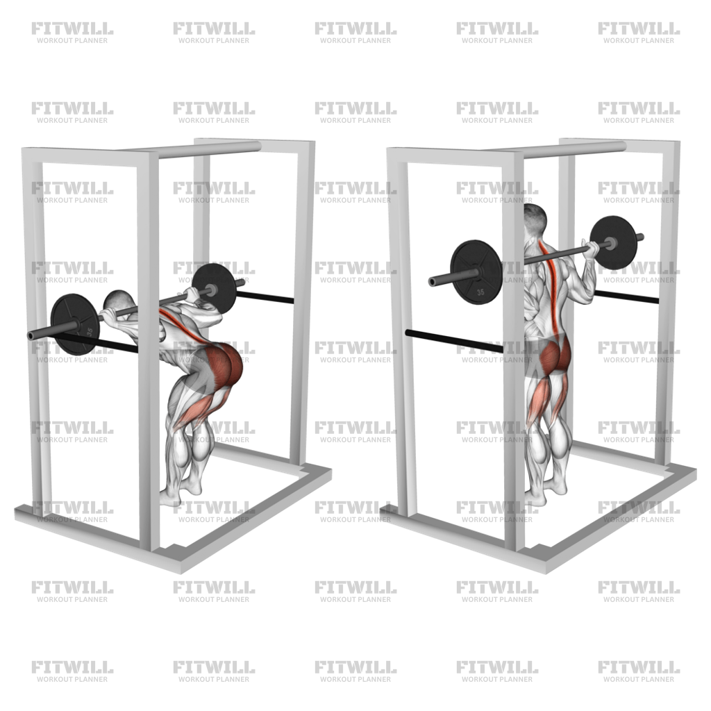 Barbell Pin Good Morning: Exercise Guide, Video, Techniques, Benefits ...