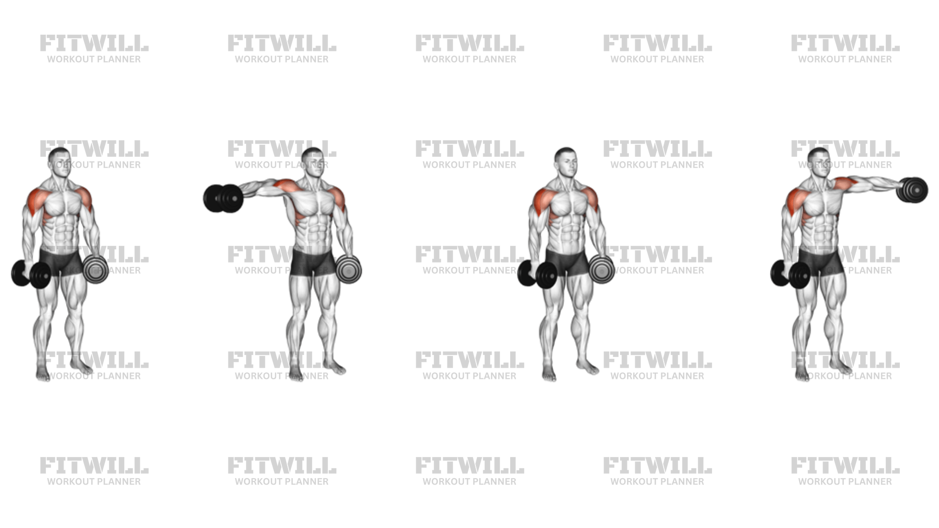 Dumbbell Alternate Lateral Raise: Exercise Guide, Techniques, Benefits, How to, Muscles Worked ...