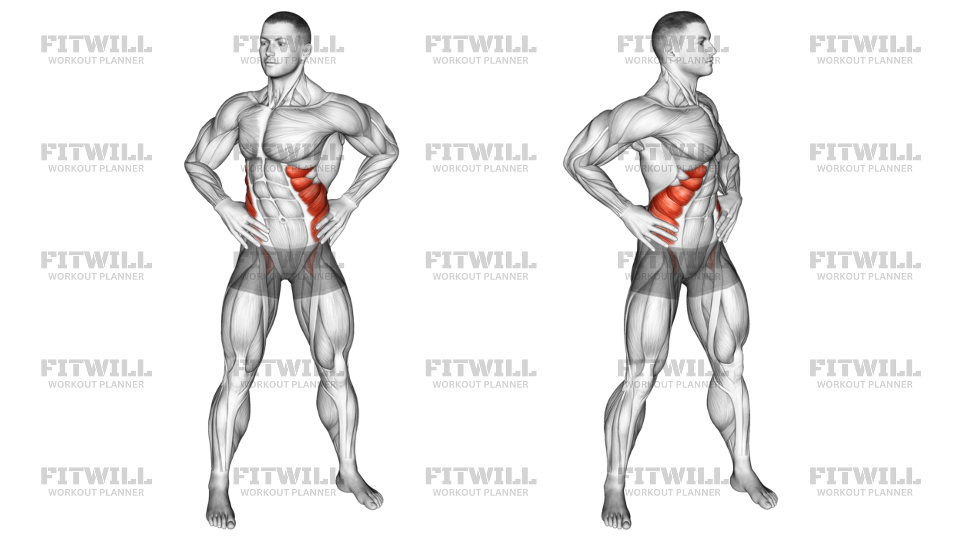 Bodyweight Standing Oblique Twist: Exercise Guide, Techniques, Benefits ...