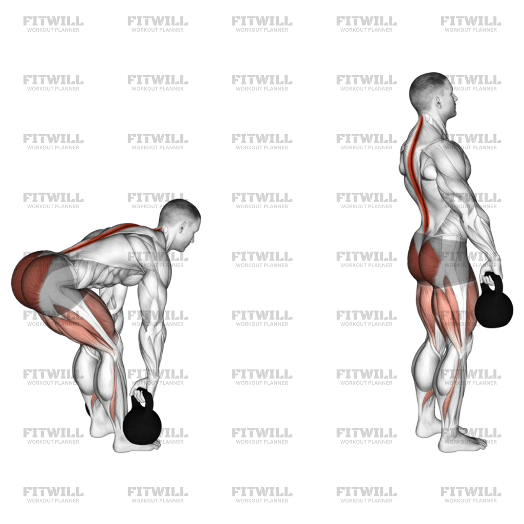 Rumensk Markløft Med Kettlebell: Treningsguide, Video, Teknikk, Fordeler, Hvordan, Muskler som ...