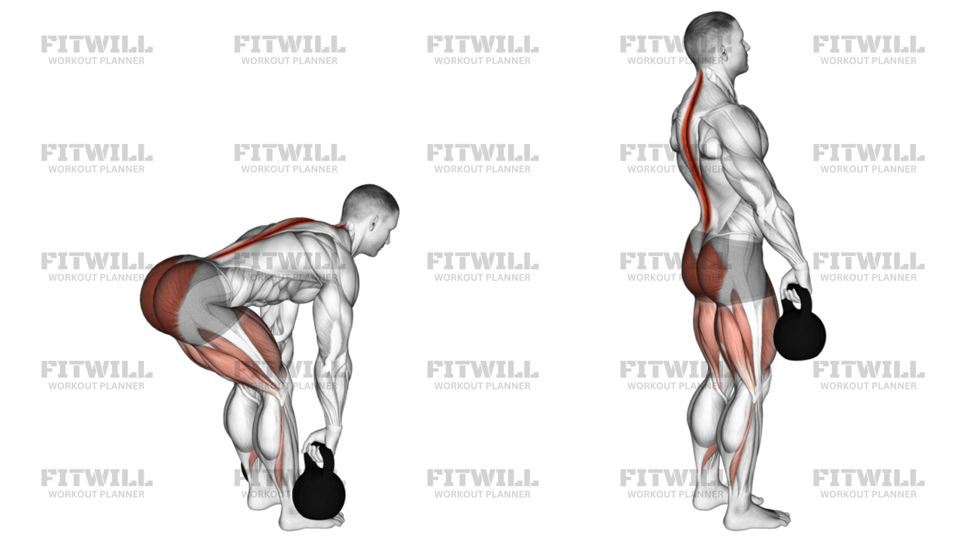 Kettlebell Romanian Deadlift: Exercise Guide, Video, Techniques ...