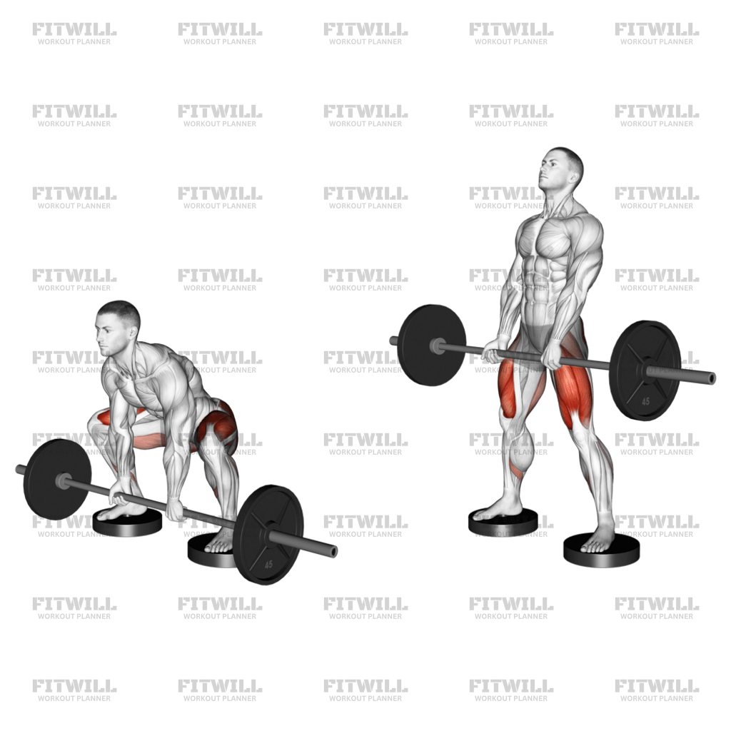 Barbell Sumo Deadlift from Deficit: Guide, Techniques, Benefits, How to ...