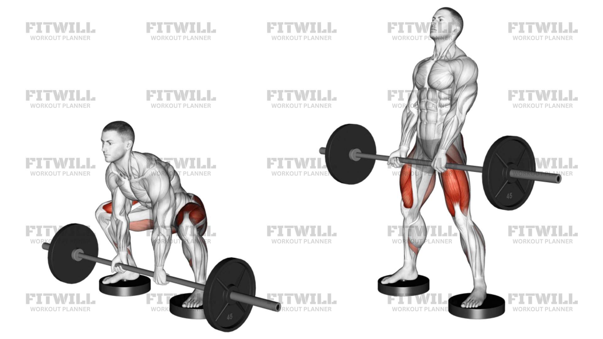 Barbell Sumo Deadlift from Deficit: Guide, Techniques, Benefits, How to ...