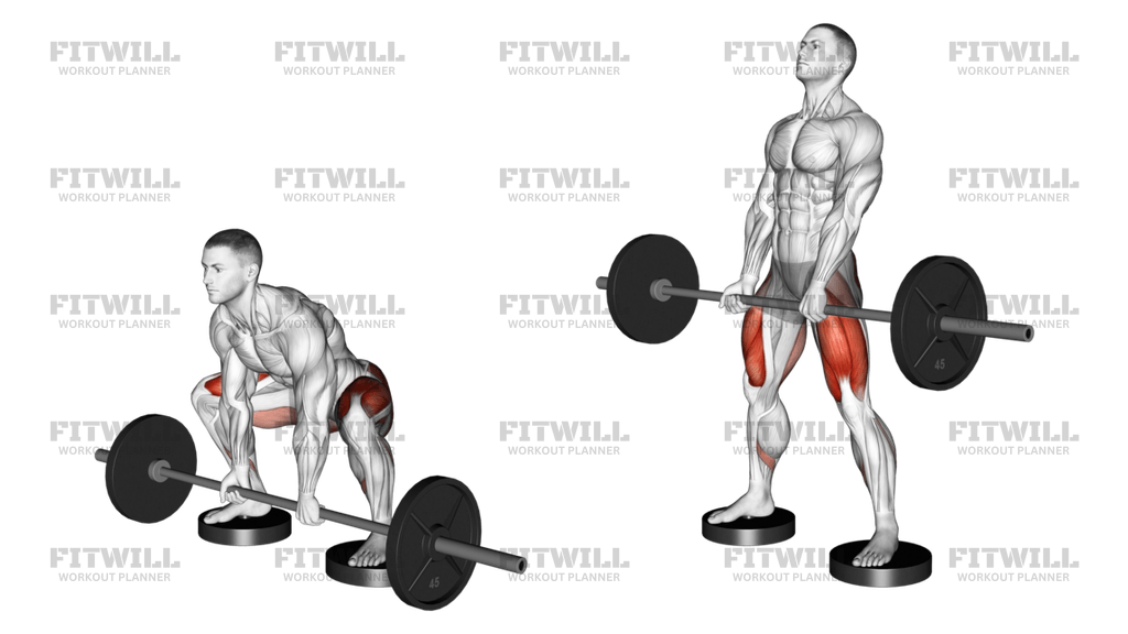 Barbell Sumo Deadlift from Deficit: Guide, Techniques, Benefits, How to ...