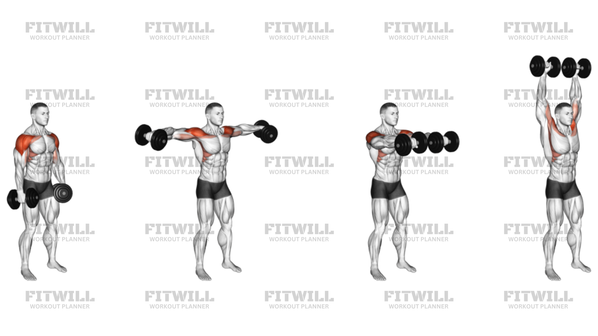 Dumbbell 6 Ways Raise: Exercise Guide, Techniques, Benefits, How to ...