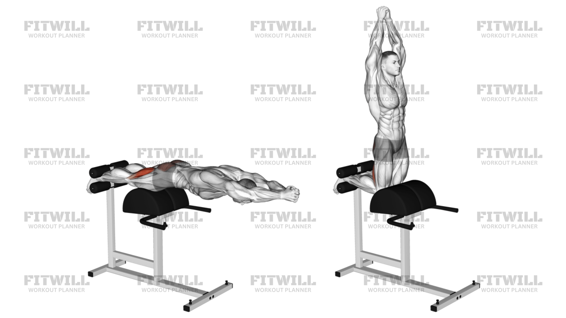 Glute Ham Raise With Extended Arms: Exercise Guide, Techniques ...