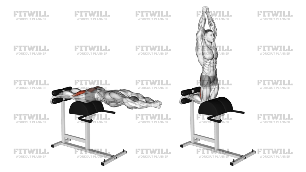 Glute Ham Raise With Extended Arms: Exercise Guide, Techniques ...