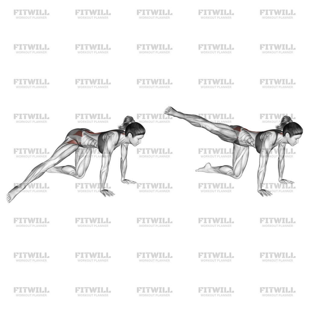 Kneeling Straight Leg Side Kick )female): Exercise Guide, Video ...