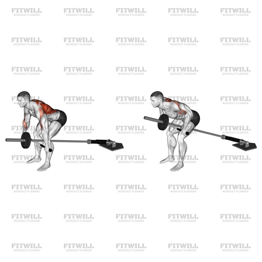 Lever Bent Over Wide Row (plate Loaded): Exercise Guide, Techniques ...