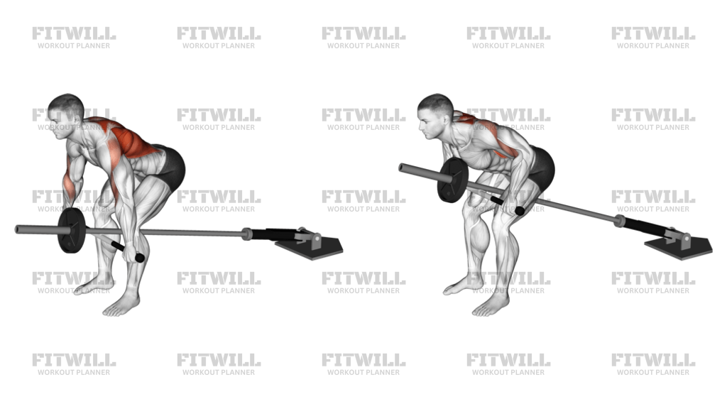 Remo Inclinado Amplio Con Palanca (carga Con Discos): Guía de ...