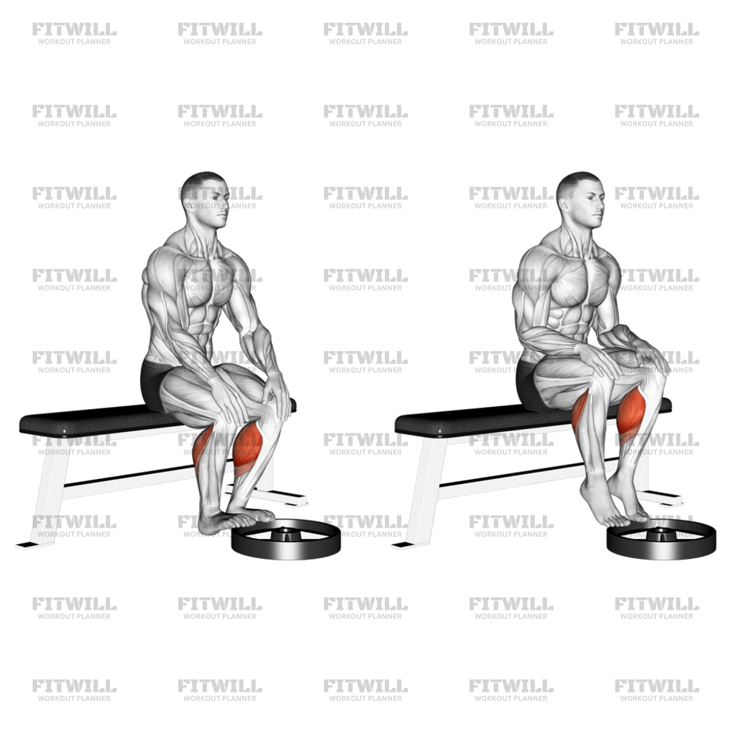 Elevated Seated Calf Raise: Exercise Guide, Techniques, Benefits, How ...