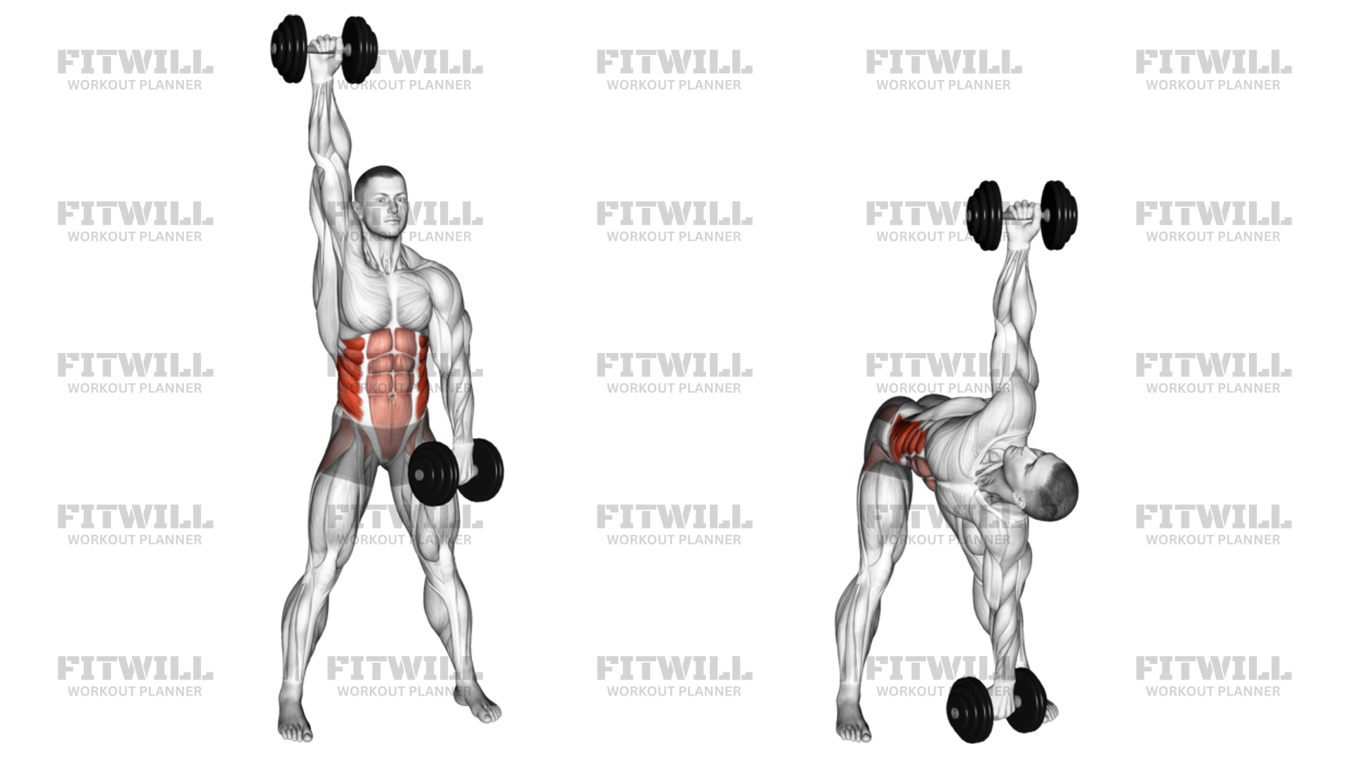 Dumbbell Standing Windmill: Exercise Guide, Techniques, Benefits, How ...