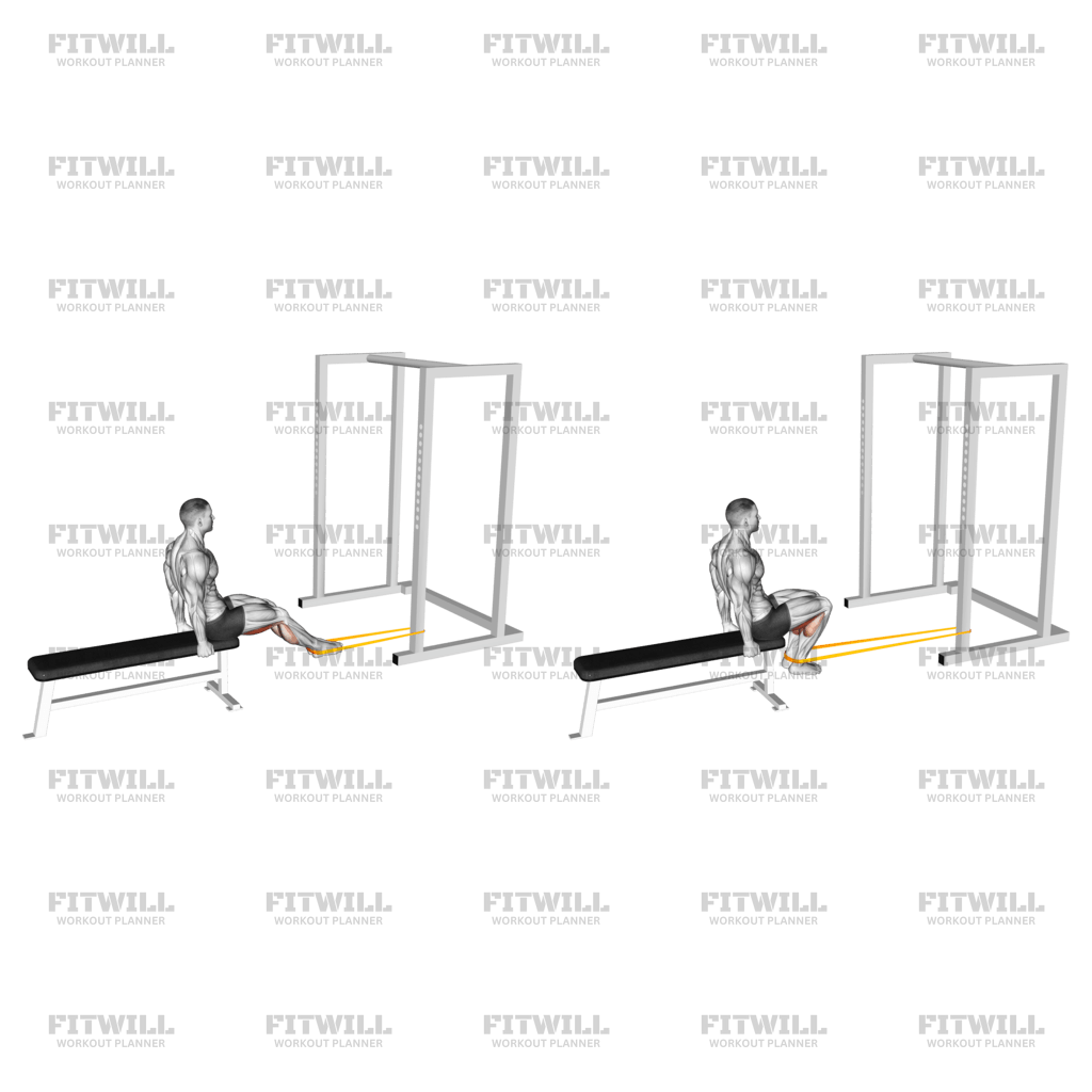 Resistance Band Seated Leg Curl: Exercise Guide, Techniques, Benefits ...