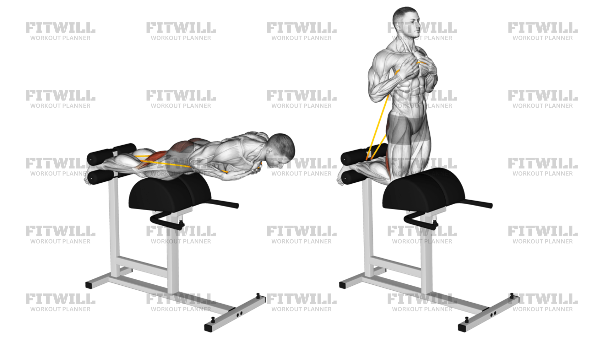 Banded Glute Ham Raise (VERSION 3): Exercise Guide, Techniques ...