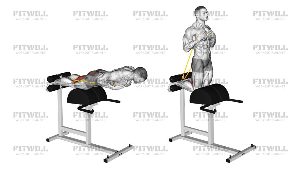 Banded Glute Ham Raise (VERSION 3): Exercise Guide, Techniques ...